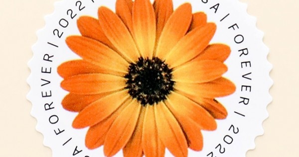 2022 US Global African Daisy Forever Stamps
